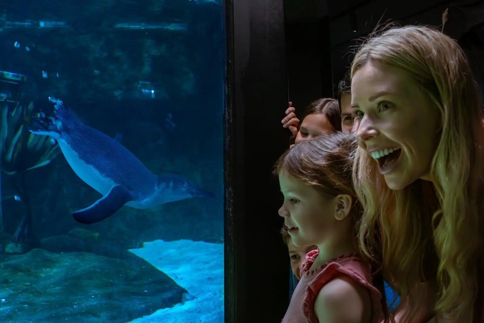 Sea Life Mooloolaba - Sunshine Coast Car Hire